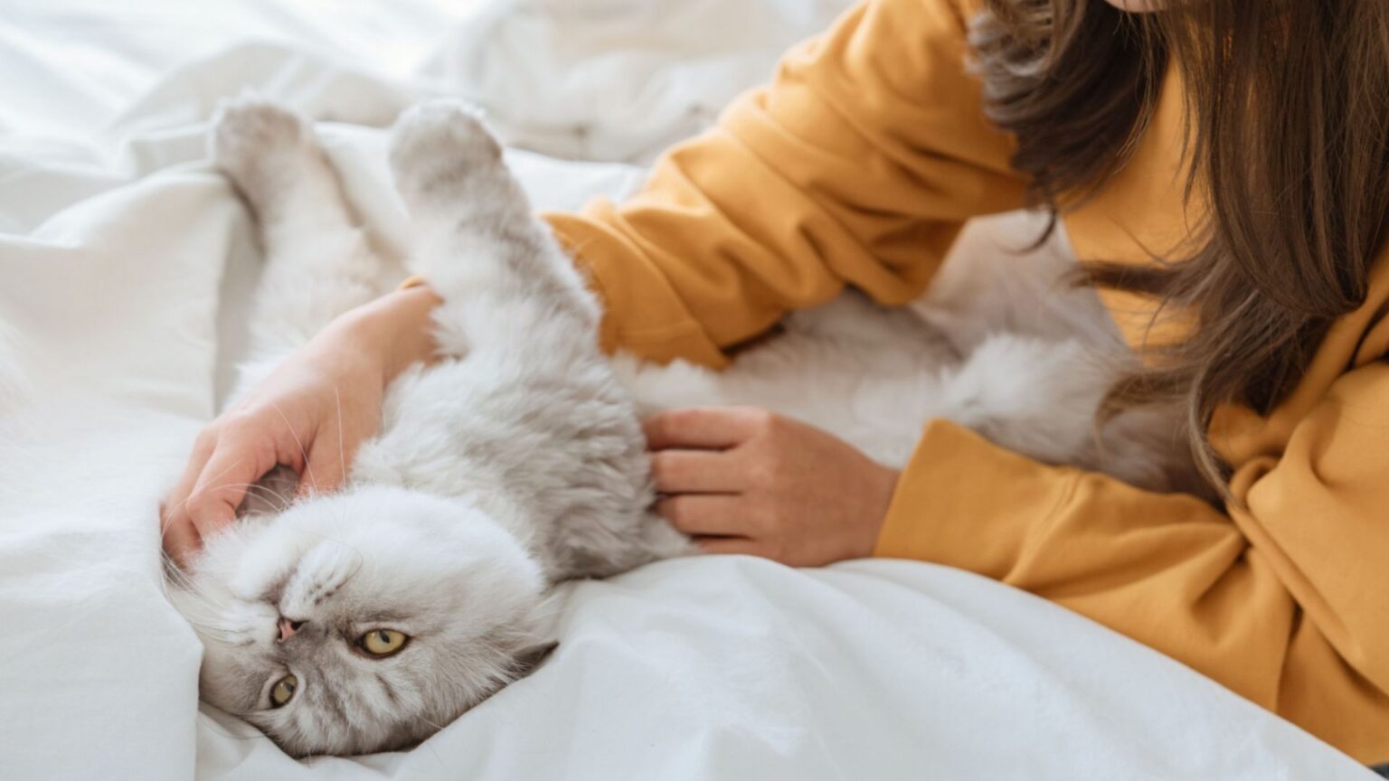 15 Ways To Show Your Cat Affection